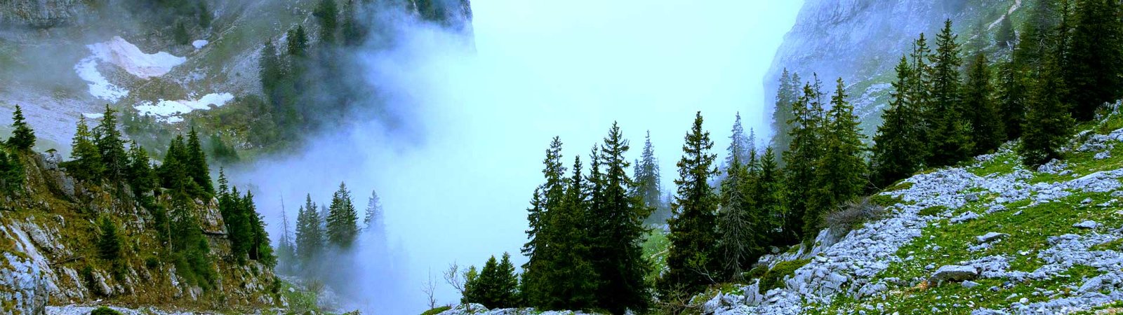 Book Dalhousie Khajjiar Dharamshala Tour Packages Book Dalhousie Khajjiar Dharamshala Tour Packages